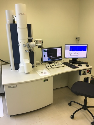 Asbestos analysis by transmission electron microscopy, SAED and EDX-S